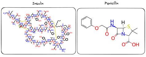 Autopeptideml Building Peptide Bioactivity Predictors Automatically