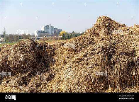 Dung Heap With A View Of A High Rise Building Stock Photo Alamy