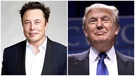 Elon Musk Says He's Reinstating Donald Trump On Twitter