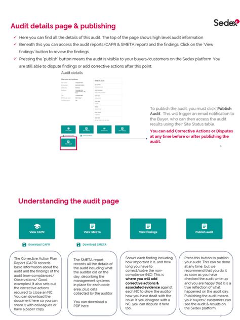 understanding audit page pdf audit computing