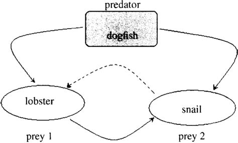 Dynamics Of A Model Three Species Predator Prey System With Choice