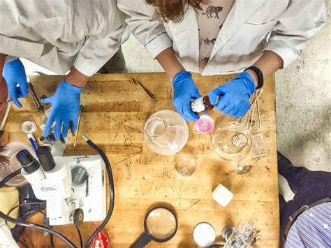 Realiza tu pregrado en Biología y Ciencias Biomédicas ByC
