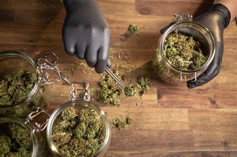 Different Types Of Thc A Beginners Guide To Thcp And Thc O