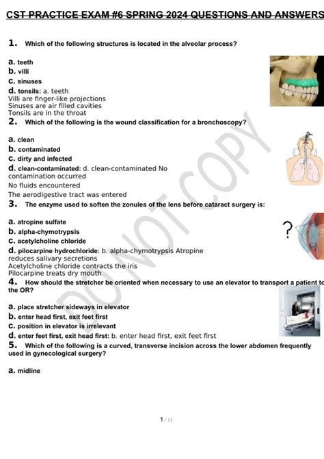 Cst Practice Exam 6 Spring 2024 Questions And Answers Cst Stuvia Us