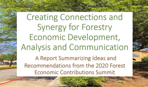 Creating Connections And Synergy For Forestry Economic Development Analysis And Communication