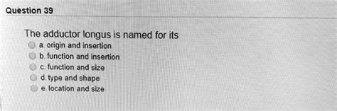 Solved The Adductor Longus Is Named For Its A Origin And Insertion B Function And Insertion C