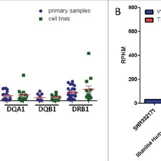 HLA Expression Levels Of Replicate Cell Line RNA Seq Samples For Download Scientific