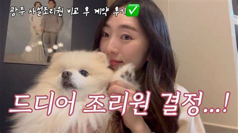 시험관 임신 Vlog 드디어 산후조리원 계약했어요 광주광역시 산후조리원 3군데 비교 후 결정 임신 19주 배 크기