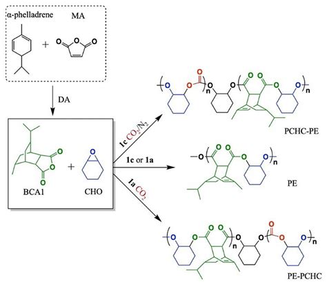 Frontiers Recent Developments In Ring Opening 41 Off