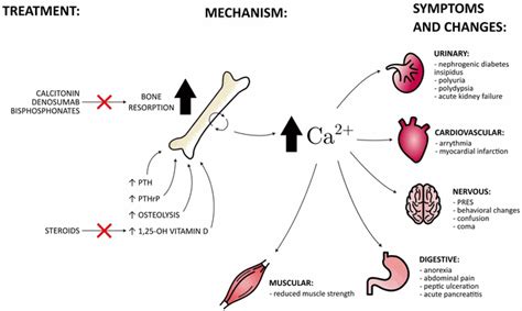 Hypercalcemia Medizzy
