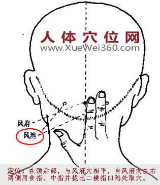 风池穴的准确位置图 按风池穴的作用与好处