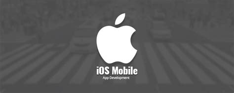 An Infographic On Ios Mobile App Development By Eduonix