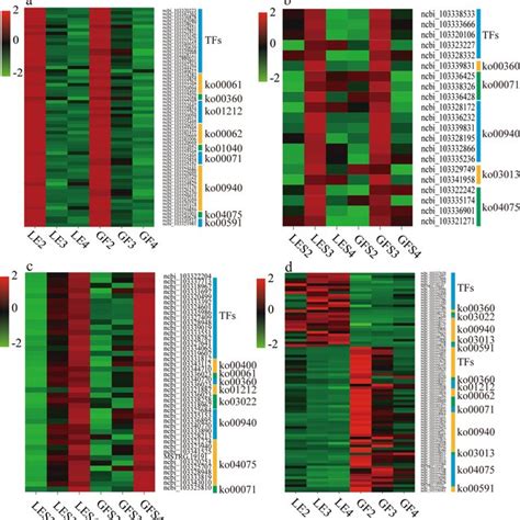 Heatmap Plot Of DEGs Identified By Enrichment Analysis At The Different Download Scientific