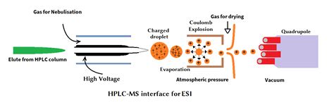 Hplc Complete Guide All About History Definition Principle Types Instrumentation And
