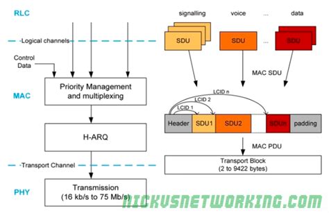 Imtx Net02x 4g Network Essentials Radio Interface 5 Rlc