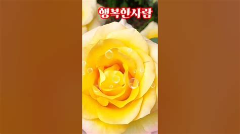 은주채널 고유정행복한 사람 Youtube
