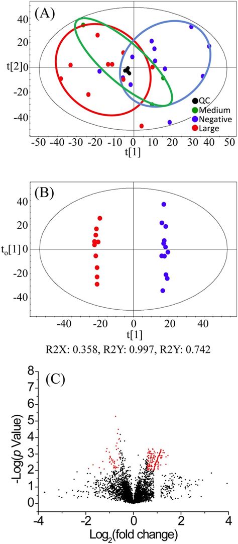 Metabolite Analysis And Histology On The Exact Same Tissue Comprehensive Metabolomic Profiling