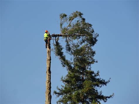 This Guy Is My Hero He Was Swinging That Chain Saw Around On A Rope Like It Was His Toy