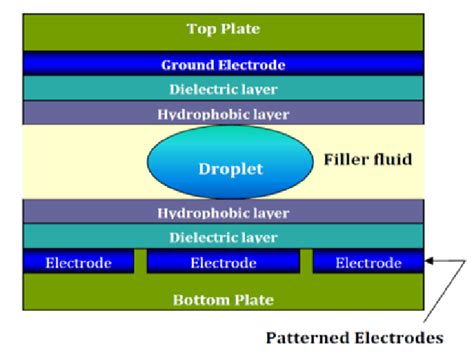 The Structure Of Dmfb 1 Download Scientific Diagram