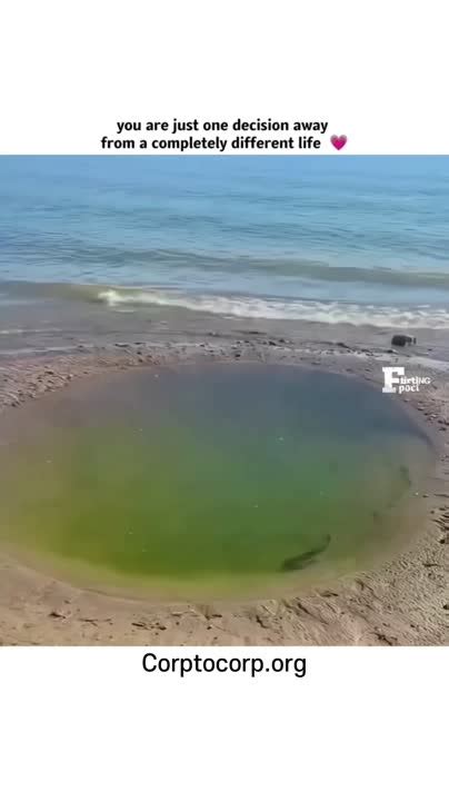 corp to corp on linkedin corptocorp usjobs c2c usajobs canada usastaffing decission making