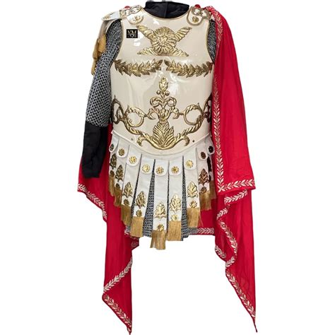 26mo Finance White Medieval Roman Muscle Cuirass Armor Knight