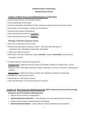 Anatomy Physiology Skeletal System Functions Bone Tissue Course Hero