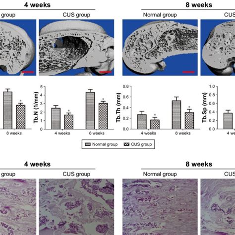 Depression Attenuated Bone Healing In A Rat Femur Defect Model Notes Download Scientific