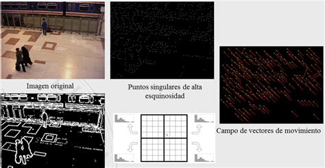 Real Time Motion Estimation
