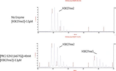 recombinant prc2 ezh2 a677g complex proteintech