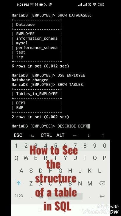 Describe Or Desc Command Of Sql Youtube