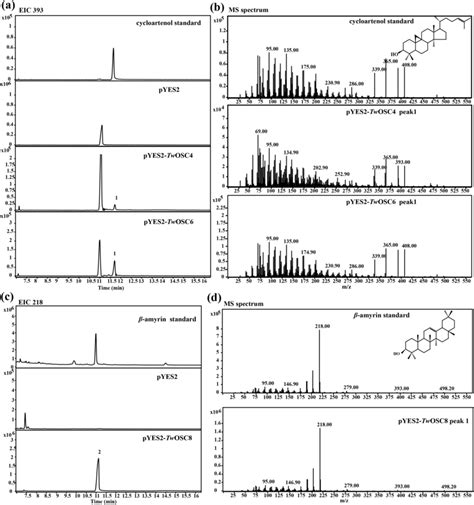 Gc Ms Analysis Of The Extracts Of Yeast Expressing Heterologous Twoscs Download Scientific
