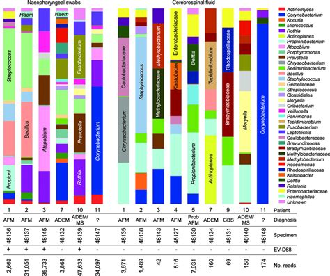 Results Of Microbiomic Analysis By 16s Rrna Partial Gene Sequencing Download Scientific Diagram