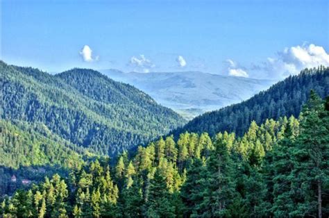 აპარტამენტი ბინა სა ნი აბასთუმანი საქართველო Hotel24 Ge