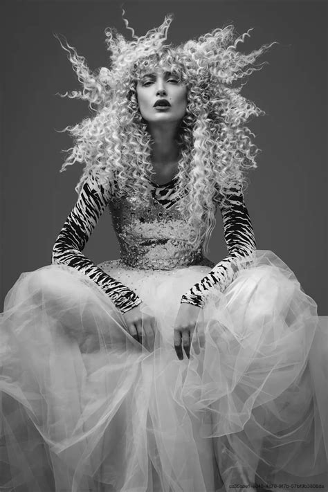 Bootstrapproperties 和 Applicationproperties 有何区别 奥利弗的狗窝