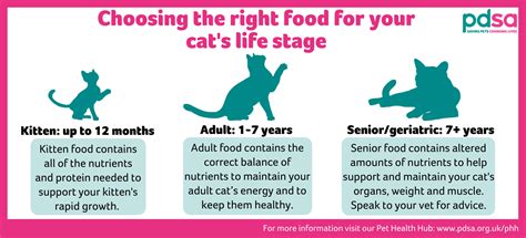 The Best Diet For Your Cat Pdsa