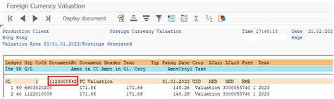 Foreign Currency Revaluation Issue Cant Generat Sap Community