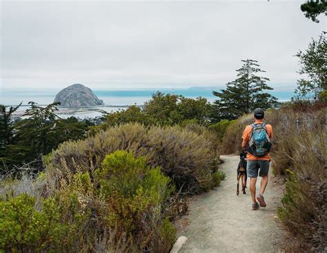 Review Of Morro Bay State Park Campground