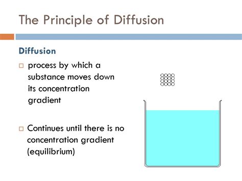 Part 3 The Cellular Level Of Organization Ppt Download Part 3 The Cellular Level Of Organization Ppt Download
