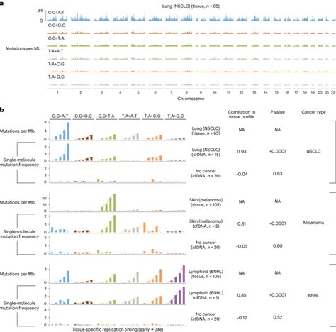 Genome Wide Mutation Profiles Of Tissue And Plasma Samples Are Download Scientific Diagram