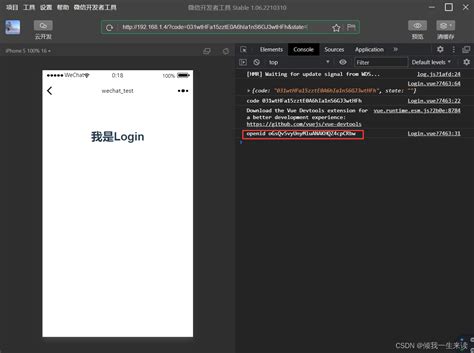 公众号开发2 —— 盛派net Sdk Vue搭建微信公众号网页开发框架vue 微信公众号开发 Csdn博客