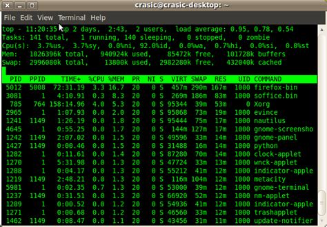 Linux TOP Command Memory Usage Super User
