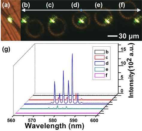 Af Optical Image Of The Measured Single Epf G Spectrogram
