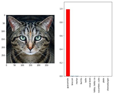 A Step By Step Guide To Synthesizing Adversarial Examples