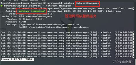 linux中的网络配置（ip地址，网关，dhcp，网桥） linux 网桥 dhcp服务 csdn博客