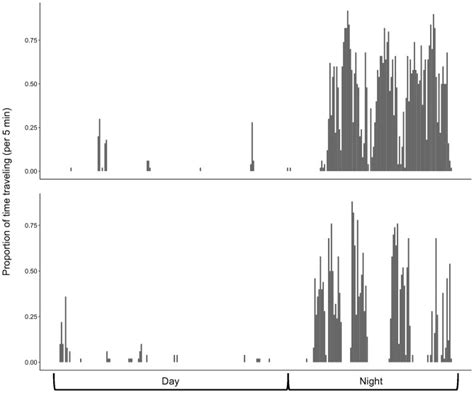 Cryptic Behavior And Activity Cycles Of A Small Mammal Keystone Species
