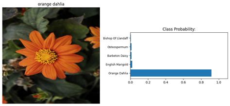 GitHub Sondosaabed Flowers Image Classifier With Deep Learning TF Implementing An Image
