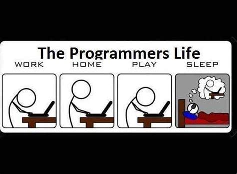 Programmer For Life Rprogrammerhumor