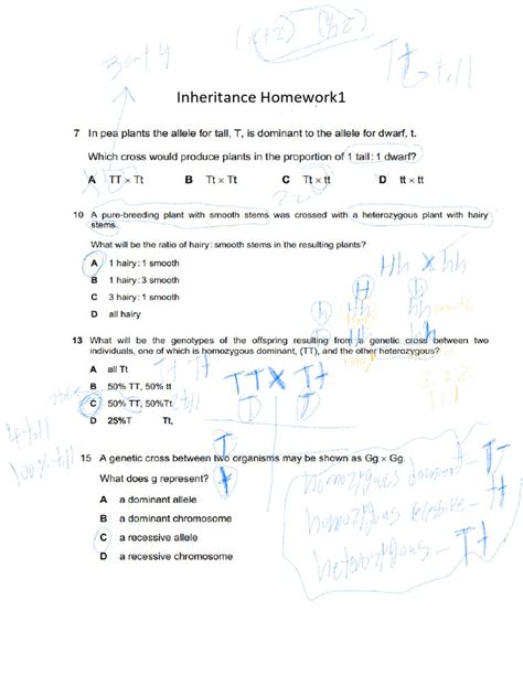 Inheritance Homework Assignment Guide Pdf