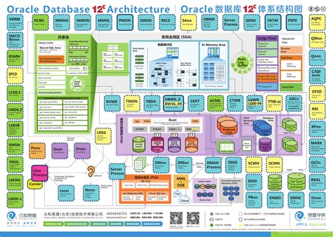 Oracle Database 12c体系结构图oracle 12c体系架构图 Csdn博客