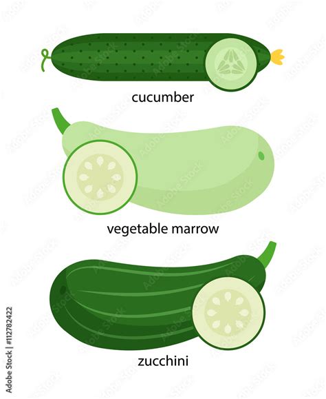 What Is The Difference Between Zucchini And Cucumber
